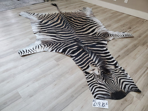 Authentic Zebra Skin Rug - Zebra Rugs for Sale | Trophy Room Collection ...
