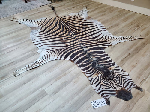 African Market – Trophy Room Collection