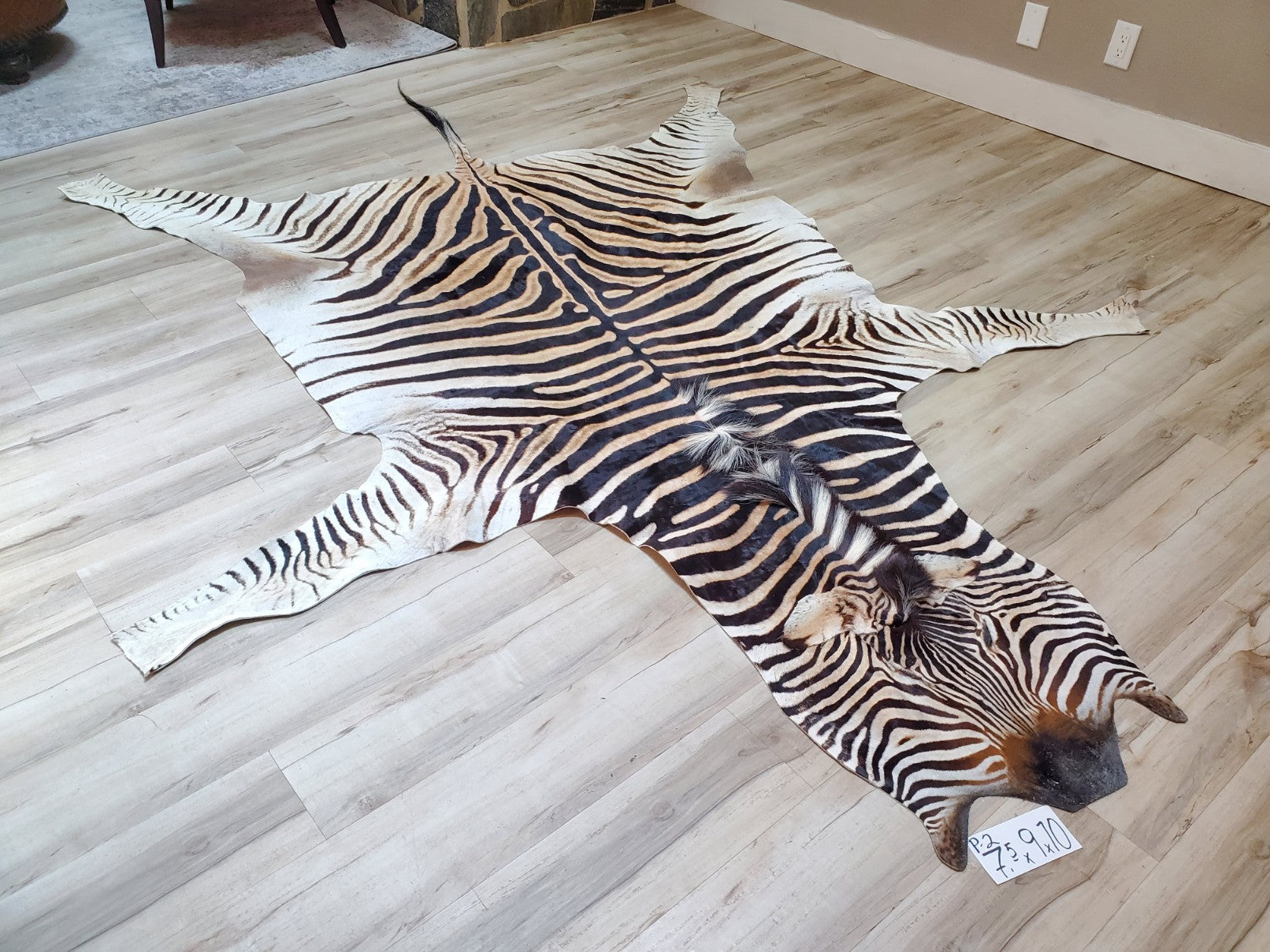Premium Zebra Skin Rug- P2 – Trophy Room Collection