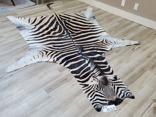 Real Zebra Skin Rugs - Zebra Hide Rug | Trophy Room Collection – Trophy ...