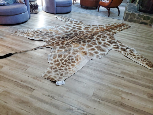 Real Zebra Skin Rugs - Zebra Hide Rug | Trophy Room Collection – Trophy ...