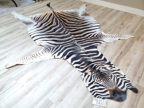 Real Zebra Skin Rugs - Zebra Hide Rug | Trophy Room Collection – Trophy ...