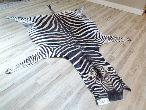 Real Zebra Skin Rugs - Zebra Hide Rug | Trophy Room Collection – Trophy ...