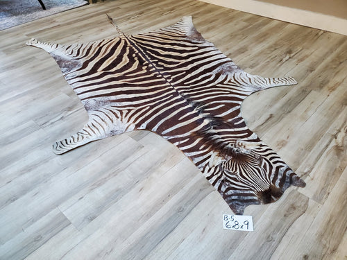 Authentic Zebra Skin Rug - Zebra Rugs for Sale | Trophy Room Collection ...