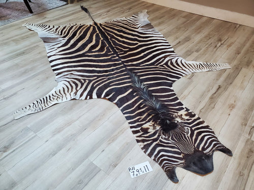 Authentic Zebra Skin Rug - Zebra Rugs for Sale | Trophy Room Collection ...