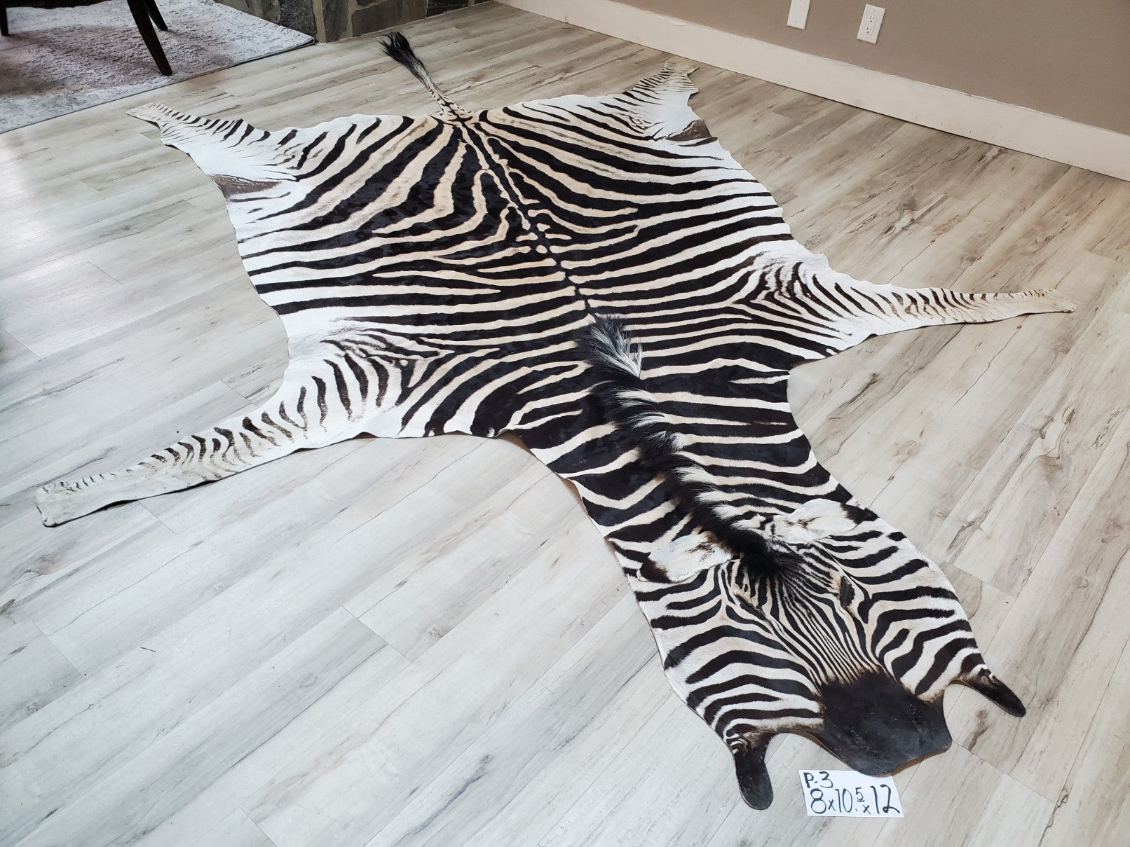 Premium Zebra Skin Rug- P3 – Trophy Room Collection