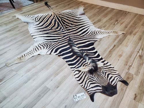 Authentic Zebra Skin Rug - Zebra Rugs for Sale | Trophy Room Collection ...