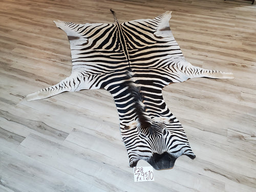 Authentic Zebra Skin Rug - Zebra Rugs for Sale | Trophy Room Collection ...