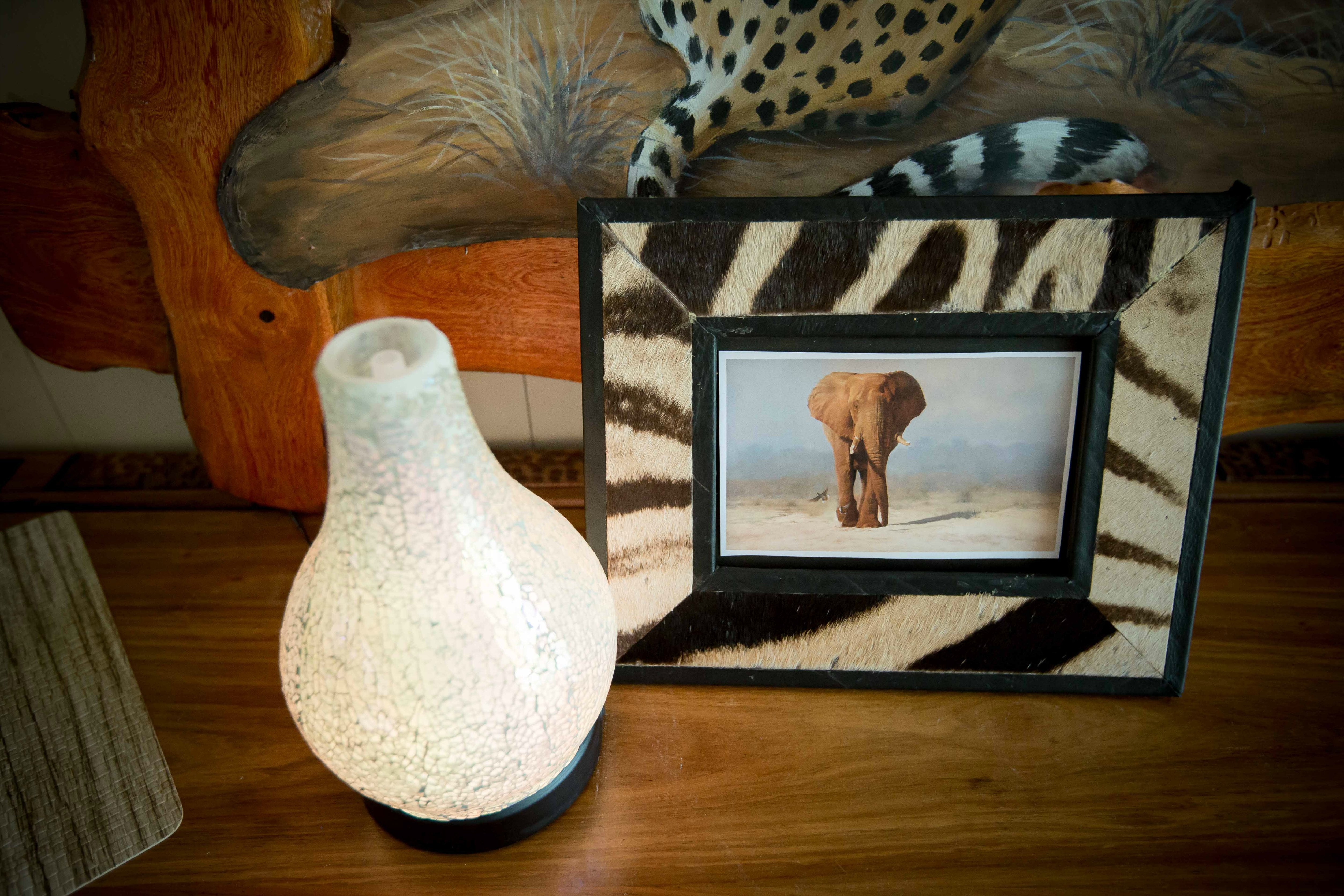 Zebra Picture Frame – Trophy Room Collection