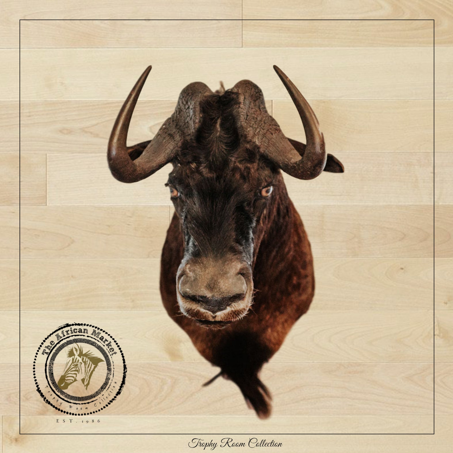 SHOULDER MOUNT - Black Wildebeest Shoulder Mount – Trophy Room Collection