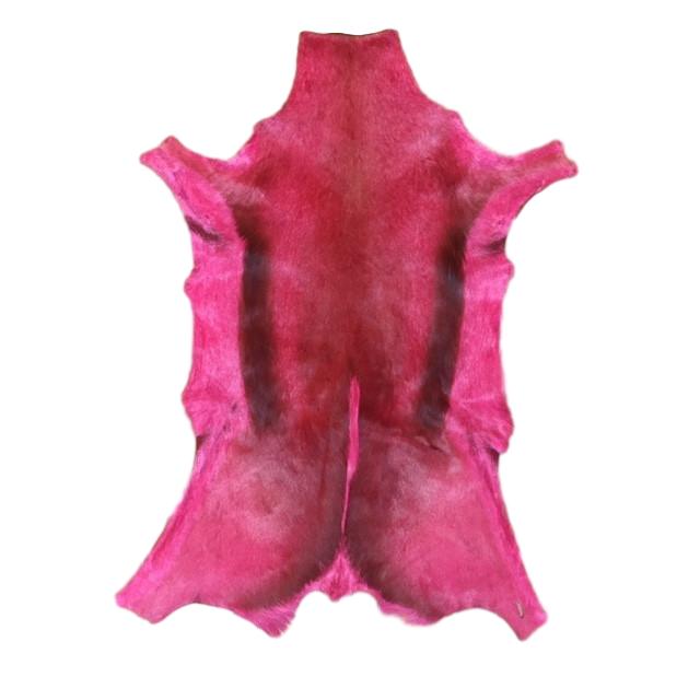SPRINGBOK FULL HIDE - DYED – Trophy Room Collection