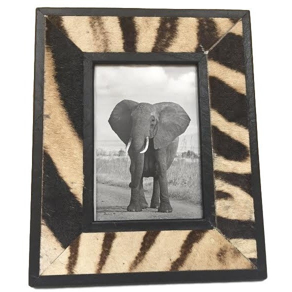 Zebra Picture Frame – Trophy Room Collection