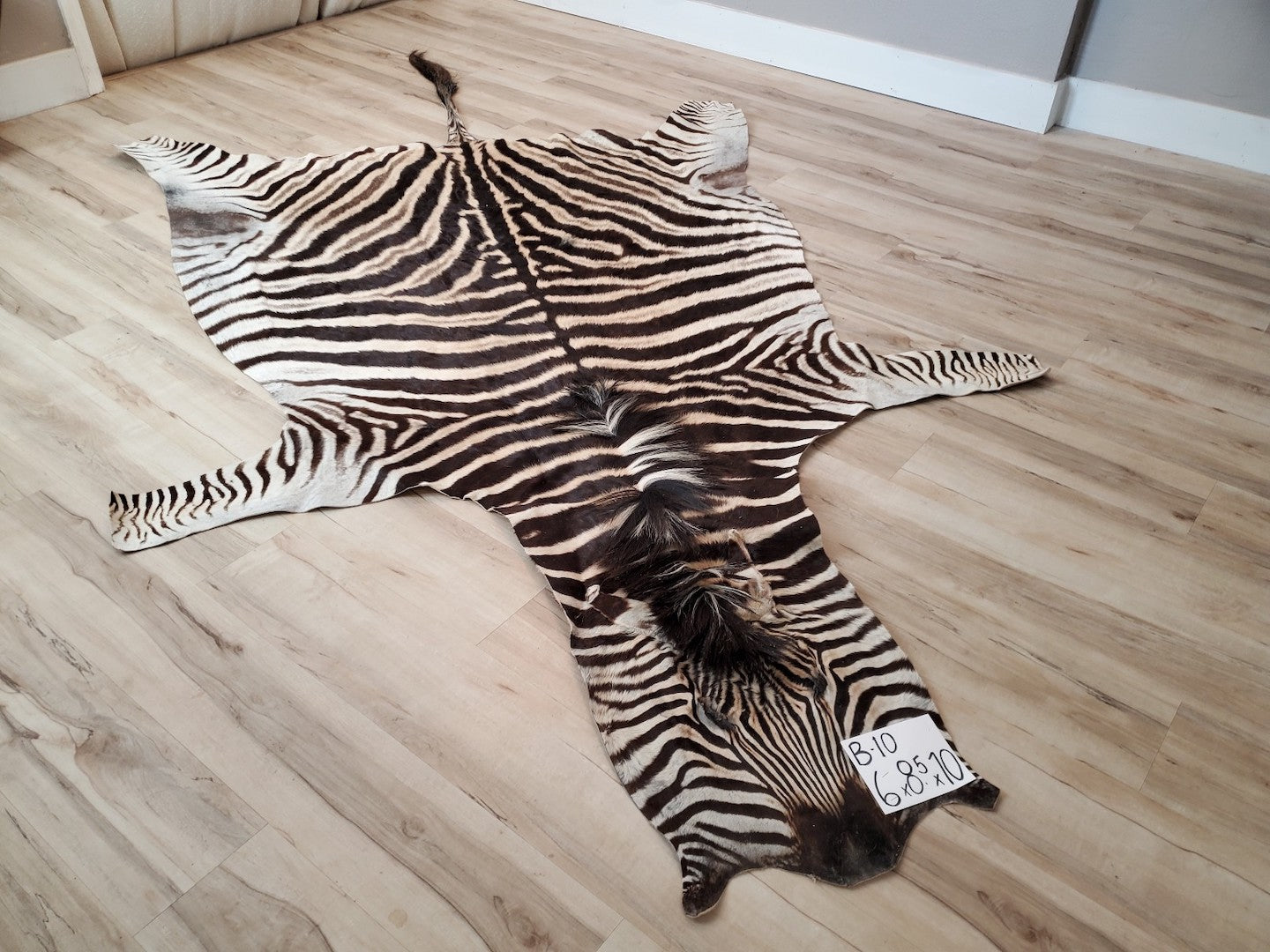 Zebra Skin Rug