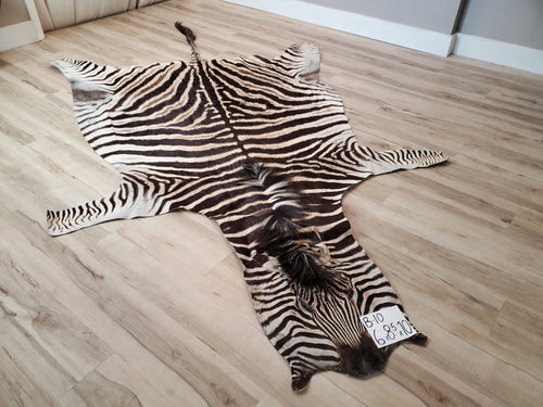 Authentic Zebra Skin Rug - Zebra Rugs for Sale | Trophy Room Collection ...