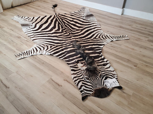Authentic Zebra Skin Rug - Zebra Rugs for Sale | Trophy Room Collection ...