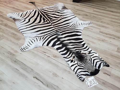 Authentic Zebra Skin Rug - Zebra Rugs for Sale | Trophy Room Collection ...