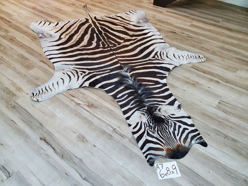 Authentic Zebra Skin Rug - Zebra Rugs for Sale | Trophy Room Collection ...
